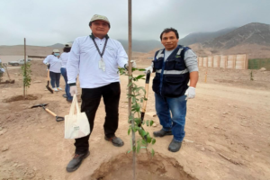 Jornada Verde: Se plantaron 60 árboles en el marco del Programa de ...